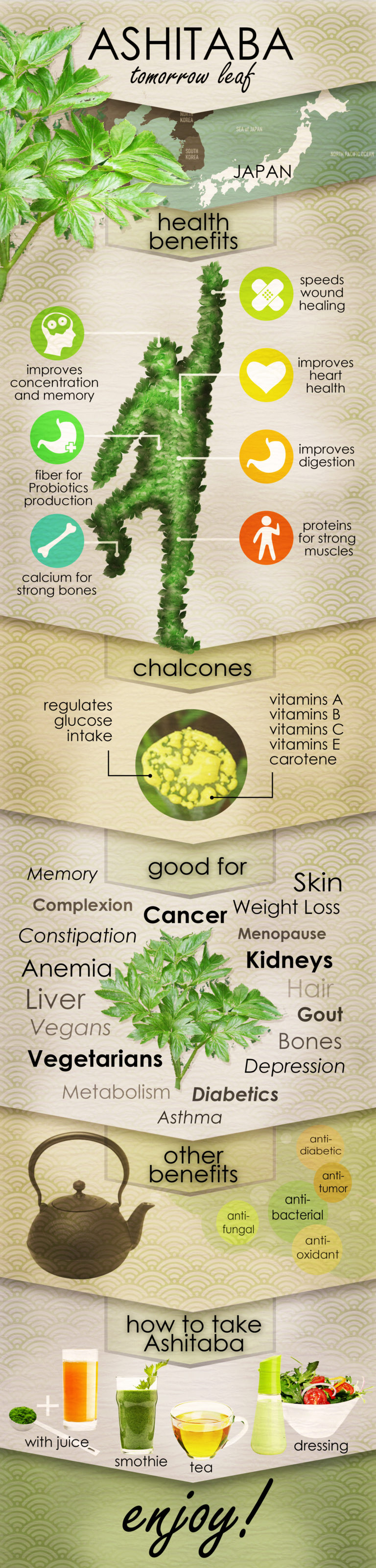 Why are you not drinking Ashitaba Tea? Ashitaba health benefits ...