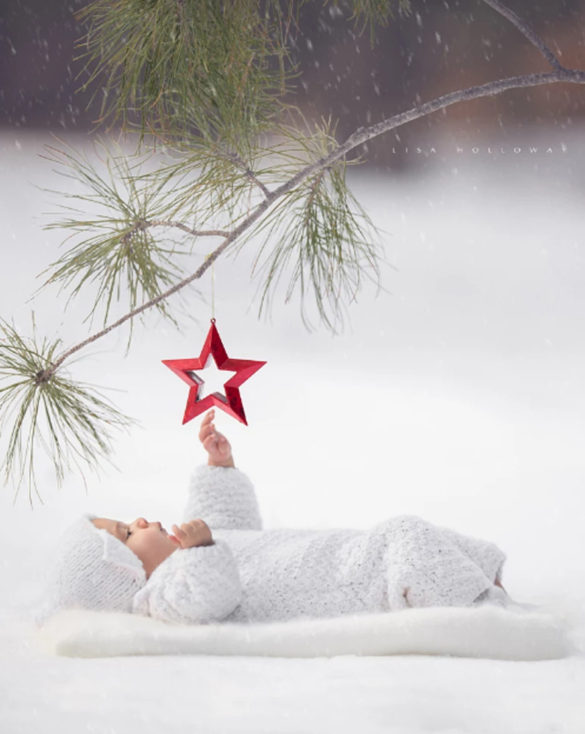 17 most creative and funny Christmas photos (plus sayings and quotes ...