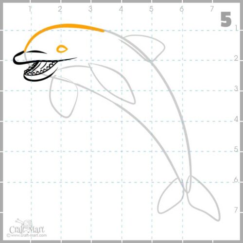 Drawing a dolphin step-by-step tutorial - Craft-Mart