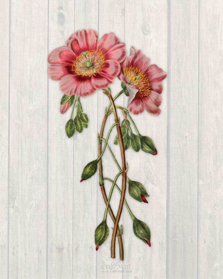 Free Printable Wall Art with Inspirational Spring Quotes and Sayings ...