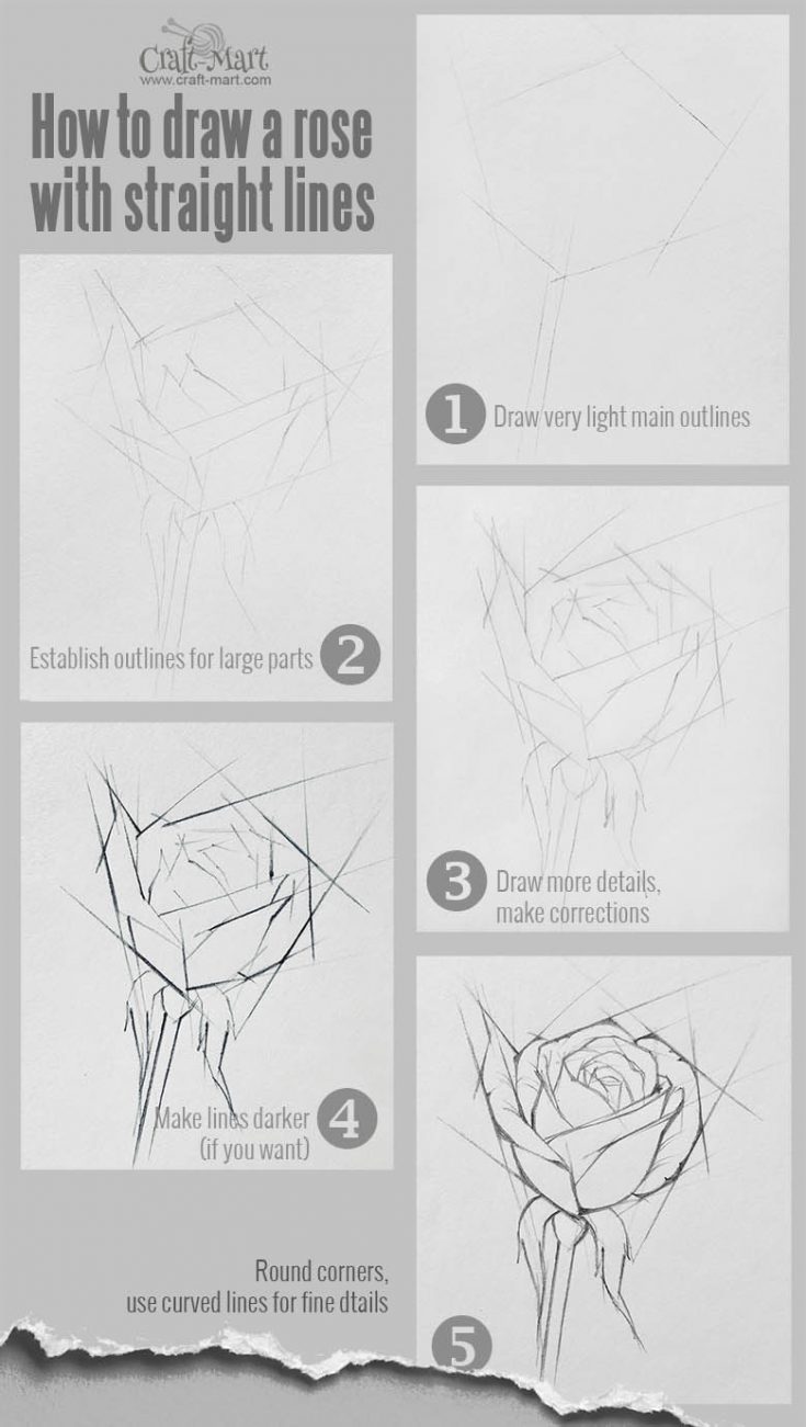 44-how-to-draw-a-rose-post - Craft-Mart