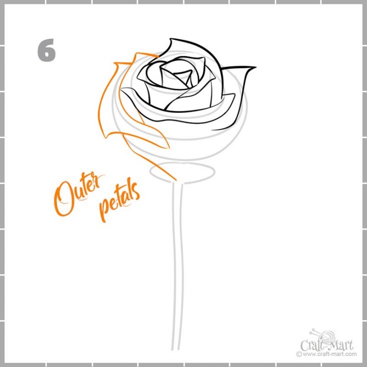 How to draw a rose step-by-step guide for beginners - Craft-Mart
