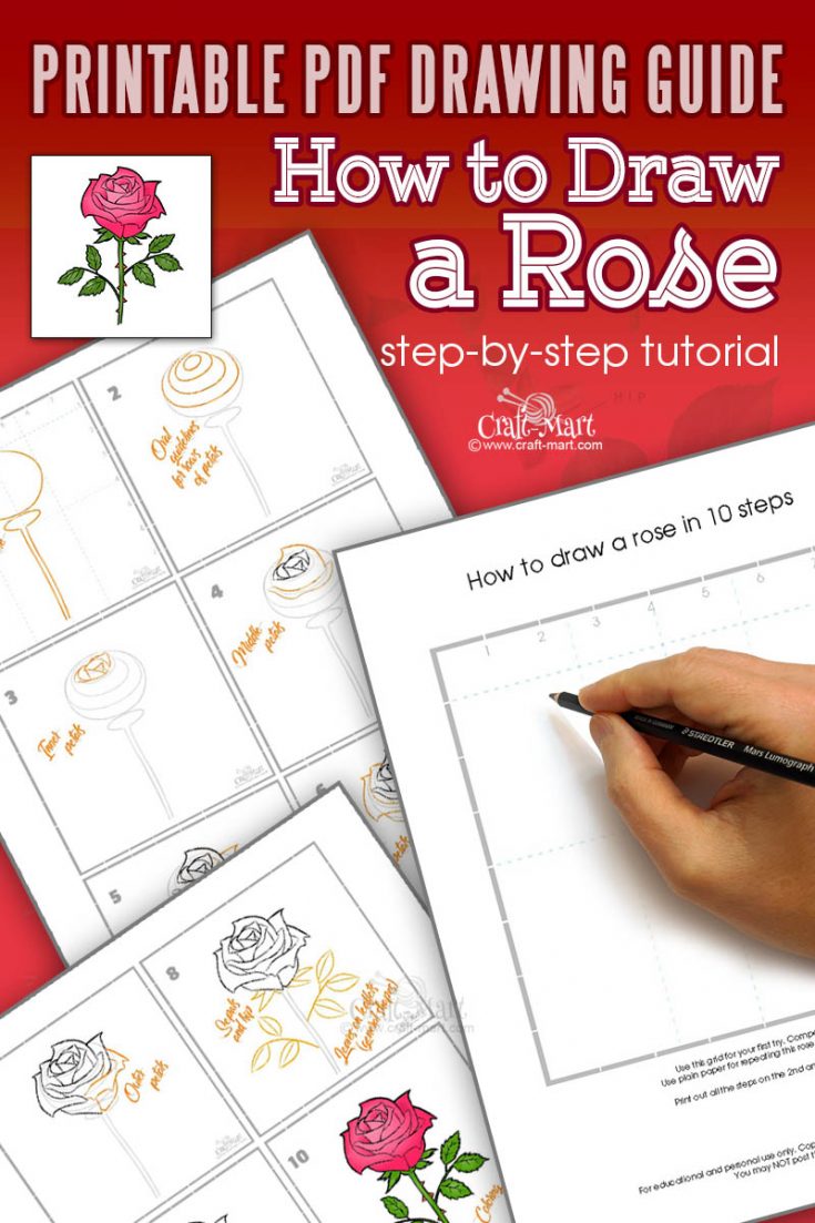 202-how-to-draw-a-rose-printable-guide-3 - Craft-Mart