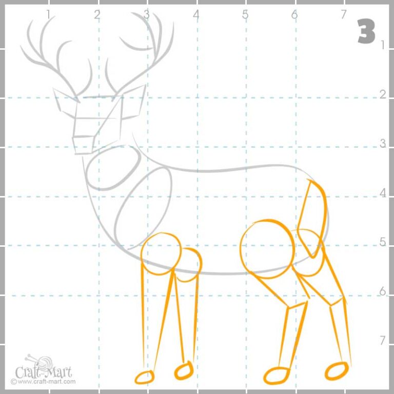 Drawing a deer in 10 steps - easy tutorial - Craft-Mart