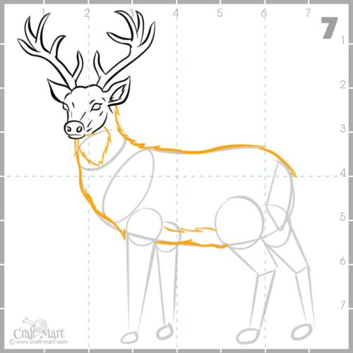 Drawing a deer in 10 steps - easy tutorial - Craft-Mart