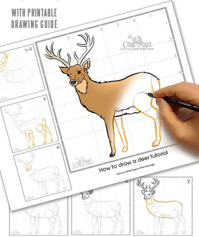 216-how-to-draw-a-Deer-printable-guide-featured - Craft-Mart
