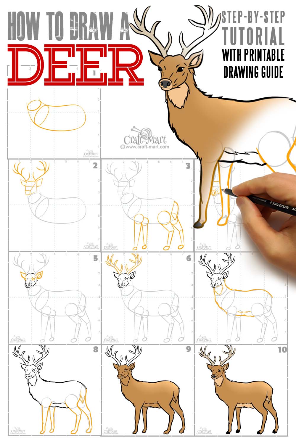 Drawing A Deer In 10 Steps Easy Tutorial Craft Mart Drawing A Deer In 10 Steps Easy Tutorial Craft Mart