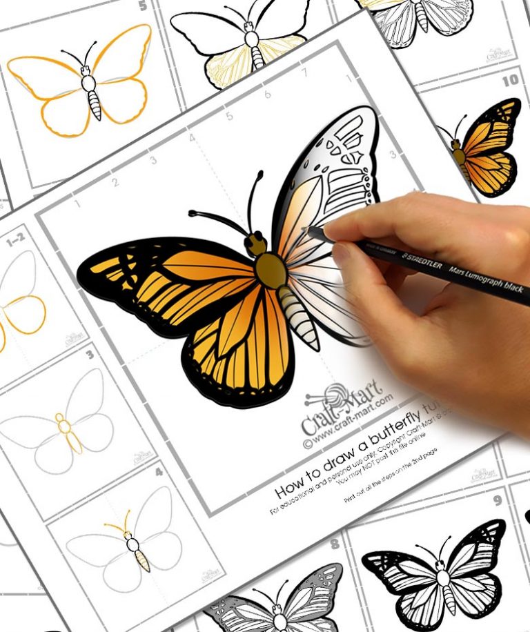 202-how-to-draw-a-Butterfly-featured - Craft-Mart