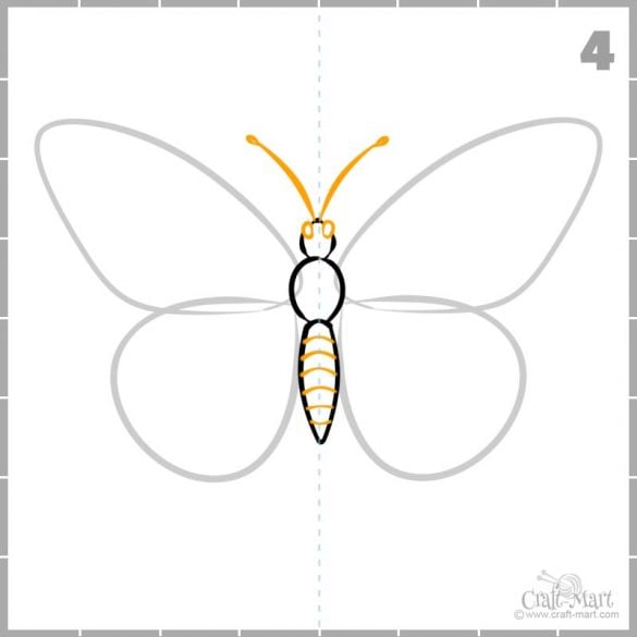 How to draw a butterfly step by step easy and fast - Craft-Mart