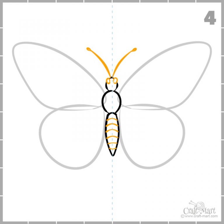 How to draw a butterfly step by step easy and fast - Craft-Mart