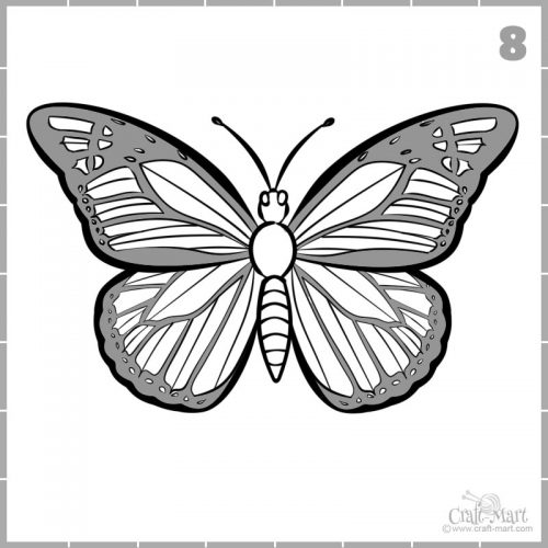 How to draw a butterfly step by step easy and fast - Craft-Mart