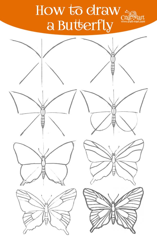 Butterfly how to draw 8 steps Craft Mart