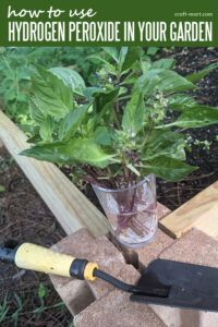 9 Ways to Use Hydrogen Peroxide in Your Garden - Craft-Mart