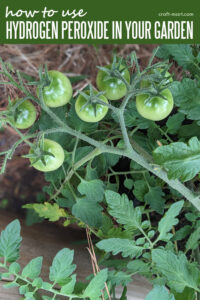 9 Ways to Use Hydrogen Peroxide in Your Garden - Craft-Mart