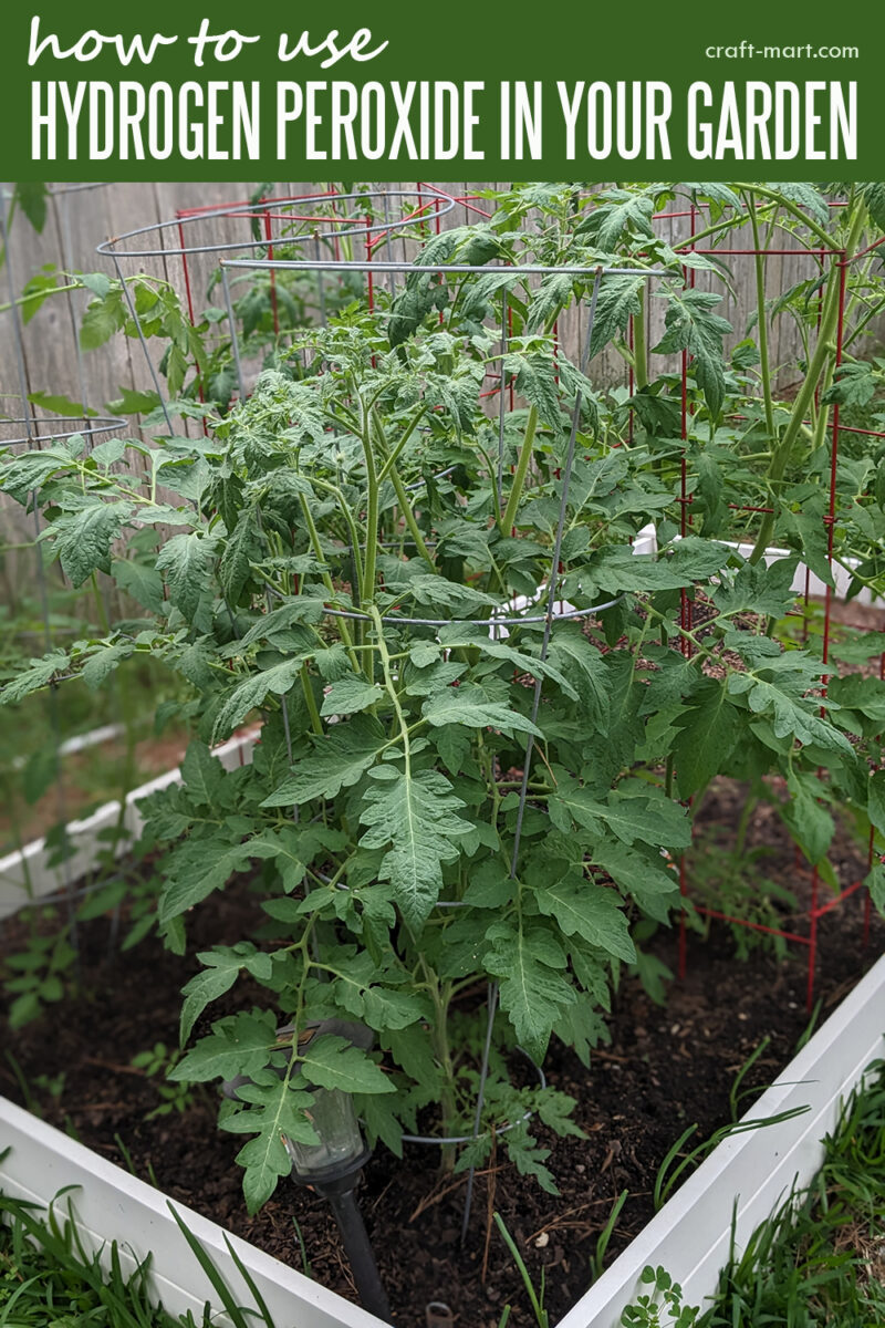 9 Ways to Use Hydrogen Peroxide in Your Garden - Craft-Mart