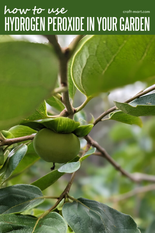 9 Ways to Use Hydrogen Peroxide in Your Garden - Craft-Mart