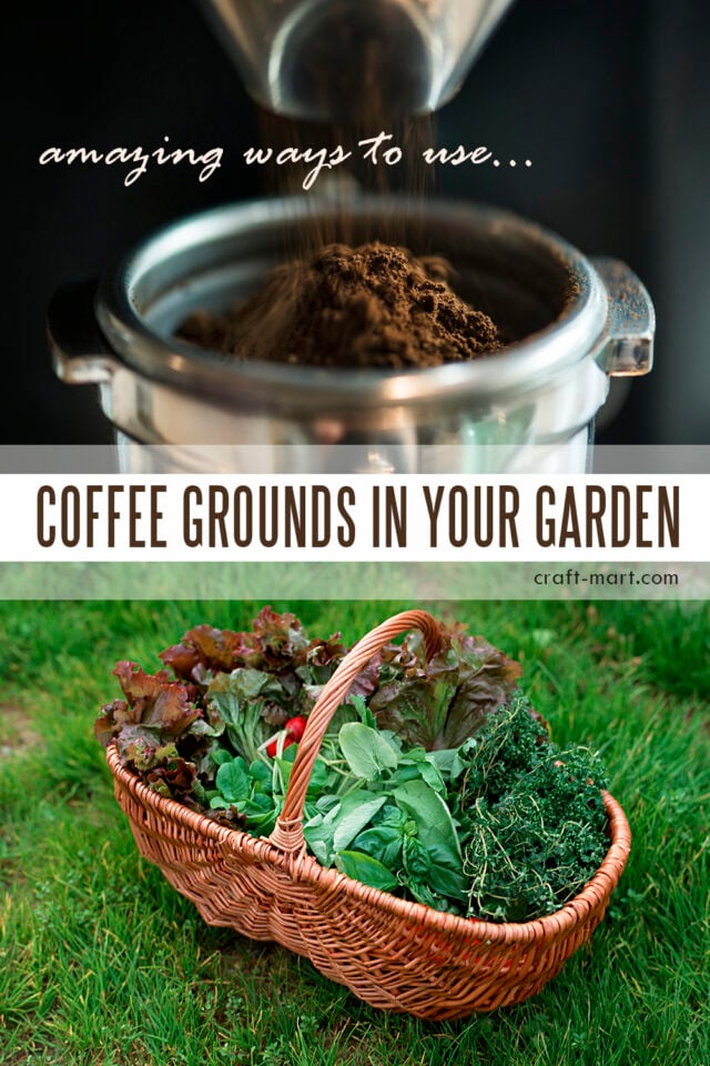 10 Surprising Ways to Use Coffee Grounds in Your Garden - Craft-Mart