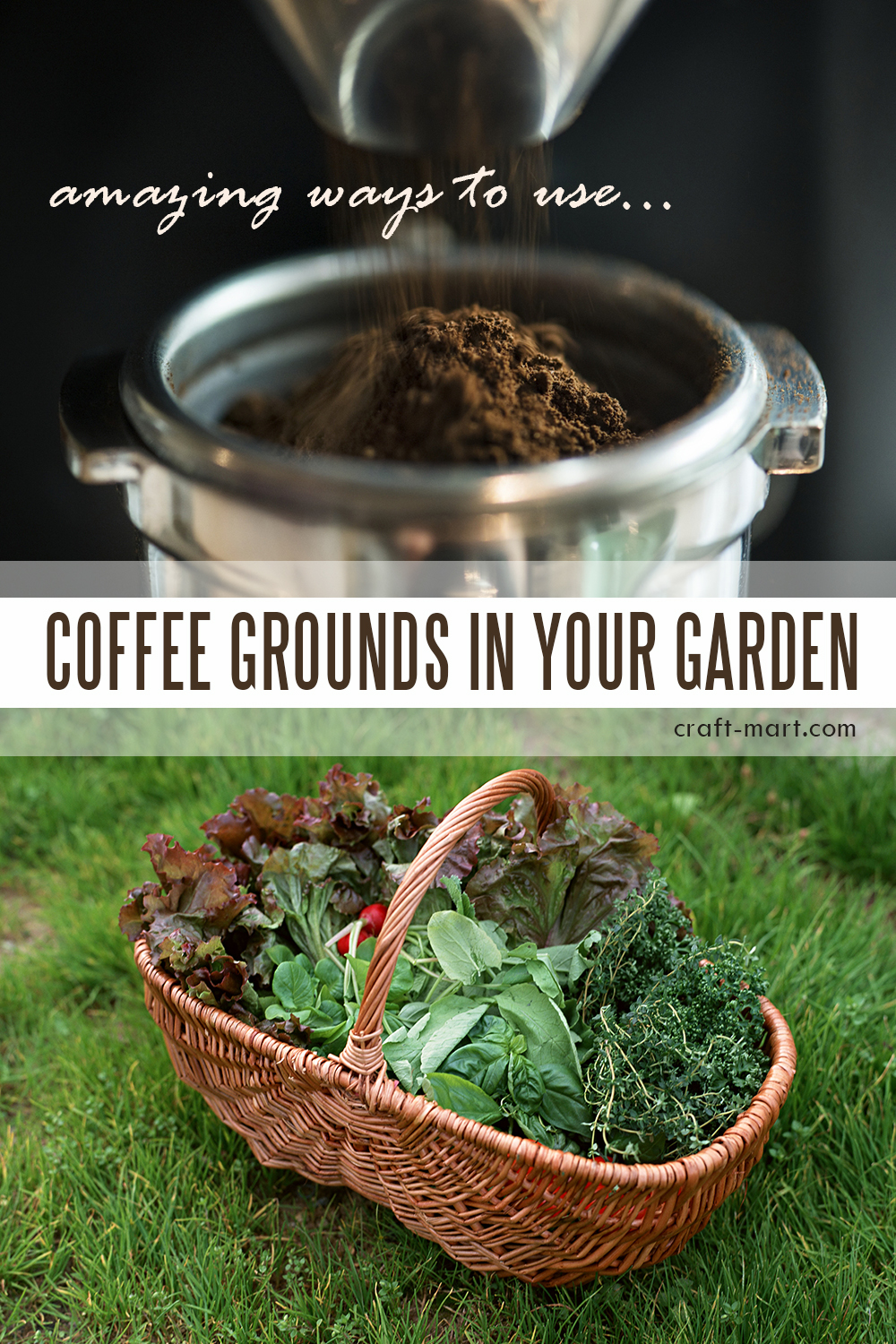 10 Surprising Ways to Use Coffee Grounds in Your Garden - Craft-Mart