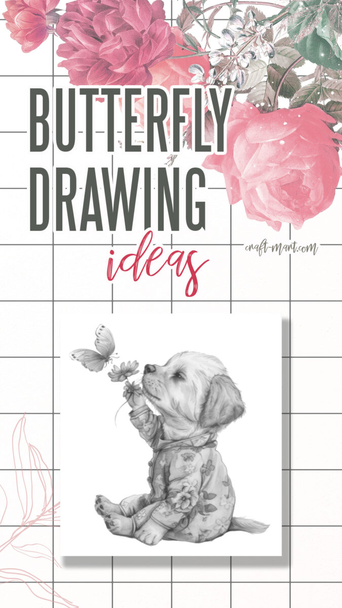 27+ Easy Butterfly Drawing Ideas for creative art projects - Craft-Mart