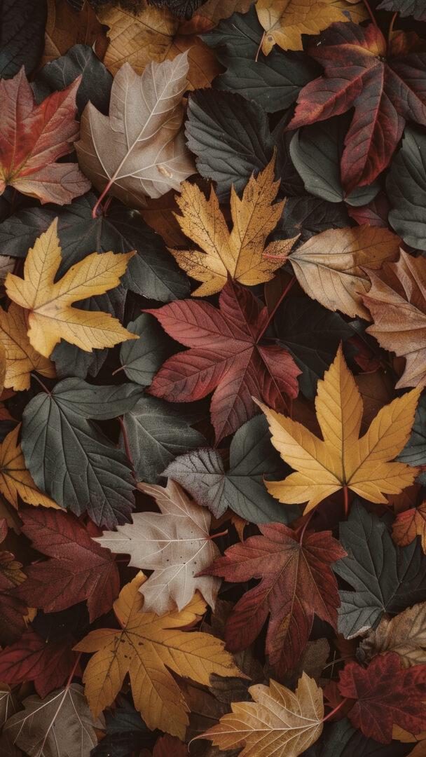Free Fall Mobile Wallpaper Collection to Bring You Joy - Craft-Mart