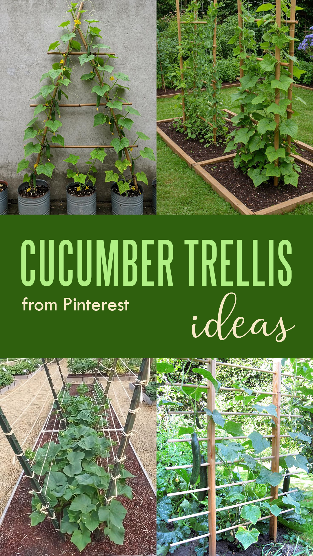 Cucumber Trellis Ideas - Craft-Mart