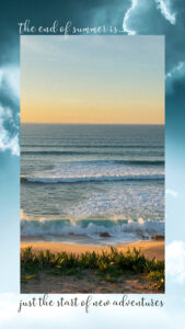 Wallpaper Ideas: Bye, Summer, Hello, Fall - Craft-Mart